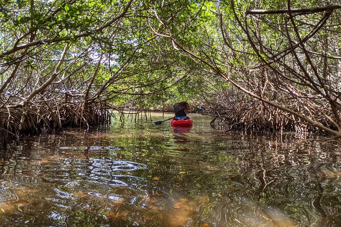 2 Hour Tandem Kayak Tour (Price for 2 People) - Authentic Insights from Reviewers