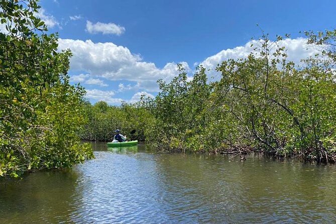 2 Hour Tandem Kayak Tour (Price for 2 People) - Who Will Love This Tour?