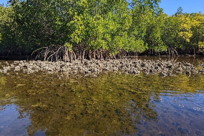 2 Hour Tandem Kayak Tour (Price for 2 People) - FAQ