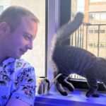 2-Hour Terrarium Making Experience with Cats in New York - What the Experience Looks Like