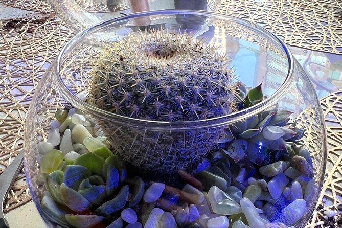 2-Hour Terrarium Making Experience with Cats in New York - Who Is This For?
