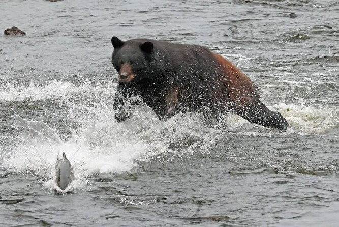 2-Hour Wildlife and Culture small van Excursion - In-Depth Look at the Tour Experience
