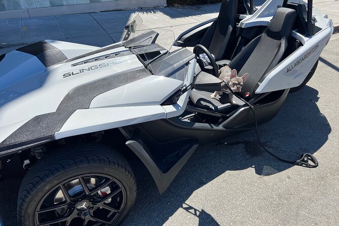 2 Hours fun in a Automatic Slingshot - Who Should Consider This Experience?
