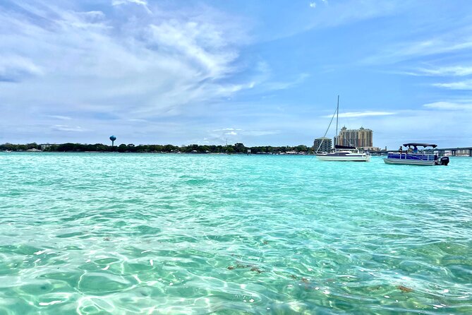 2 Hours Guided Dolphin Tour in Florida - Key Points