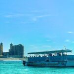 2 Hours Guided Dolphin Tour in Florida - What We Love About This Tour