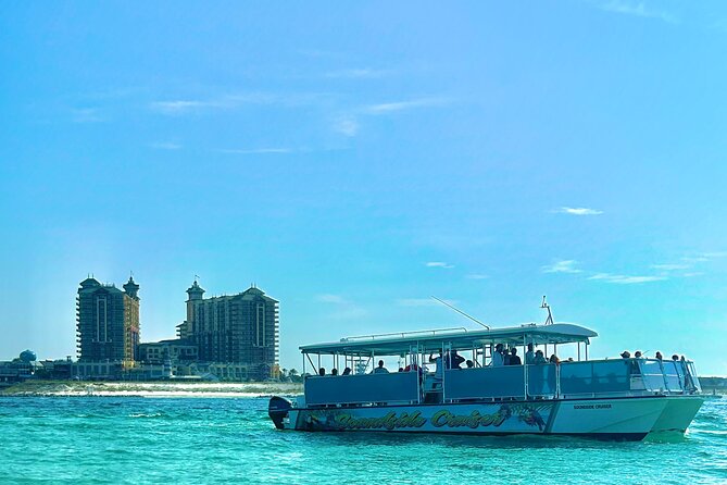 2 Hours Guided Dolphin Tour in Florida - What We Love About This Tour