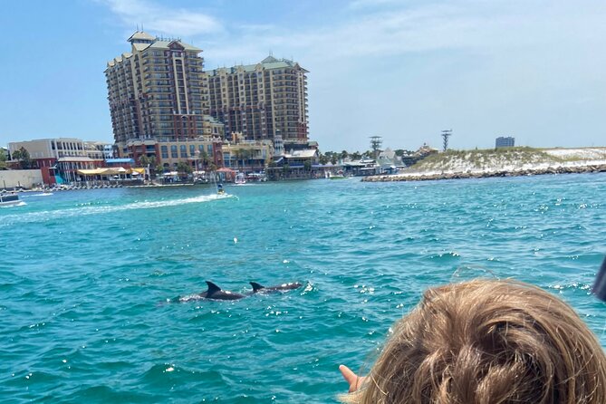 2 Hours Guided Dolphin Tour in Florida - Things to Consider