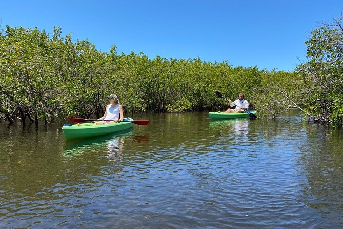2 Hours Kayak Eco Tour in Tarpon Springs - The Experience: What to Expect