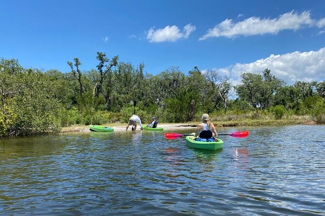 2 Hours Kayak Eco Tour in Tarpon Springs - Final Thoughts: Is It Worth It?