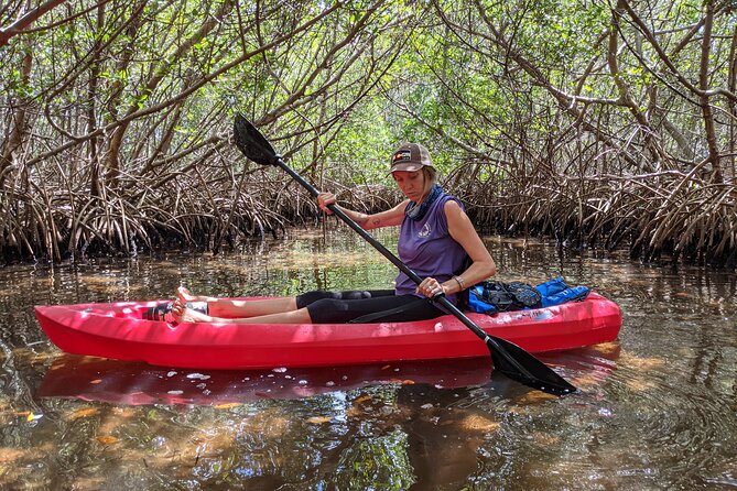 2 Hours Kayak Eco Tour in Tarpon Springs - Frequently Asked Questions
