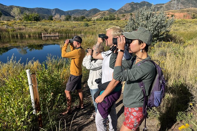 2 Hours of Mindful Bird Watching near Denver - Experience Review: 2 Hours of Mindful Bird Watching Near Denver