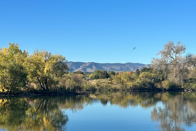 2 Hours of Mindful Bird Watching near Denver - Key Points