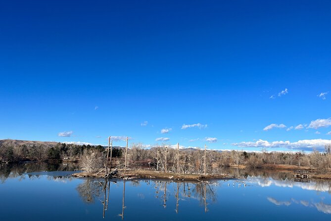 2 Hours of Mindful Bird Watching near Denver - Practical Information and Tips