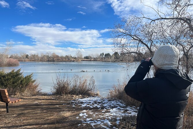 2 Hours of Mindful Bird Watching near Denver - The Sum Up