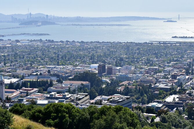 2 Hours Private Walking Tour in Berkeley - Who Will Love This Tour?