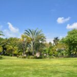 2 Hours Private Walking Tour in Miami Beach - Practical Details and Tips