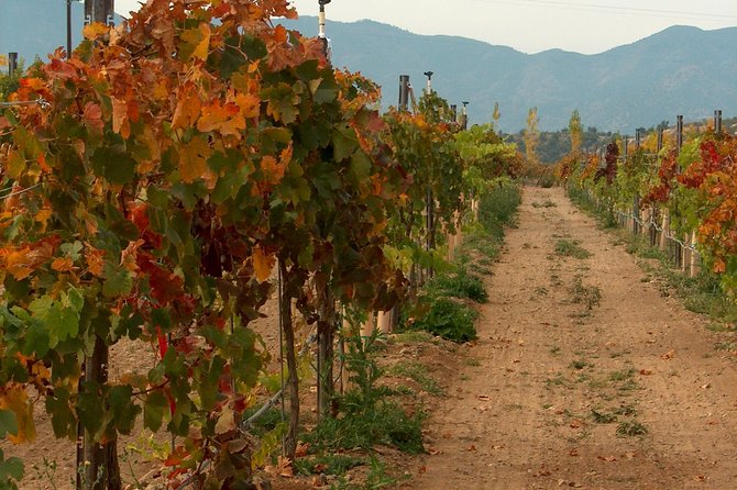 2 Hours Water to Wine Kayak Trip from Cottonwood - Who Will Love This Tour?