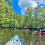 2-Hr Blackwater Kayak Tour just outside Charleston - Exploring the 2-Hour Blackwater Kayak Tour just outside Charleston