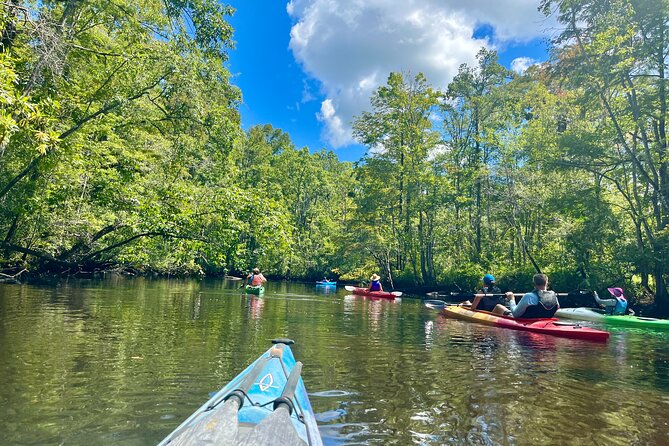 2-Hr Blackwater Kayak Tour just outside Charleston - Exploring the 2-Hour Blackwater Kayak Tour just outside Charleston
