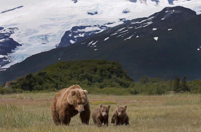 2 Park Bear Viewing Adventure to Katmai and Lake Clark NP - Key Points