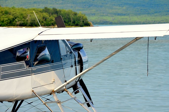 2 Park Bear Viewing Adventure to Katmai and Lake Clark NP - Final Thoughts: Is This Tour Worth It?