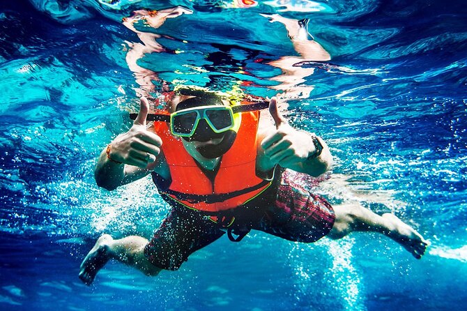 2-Stop Snorkeling and Dolphin Cruise from Destin - Who Will Love This Tour?