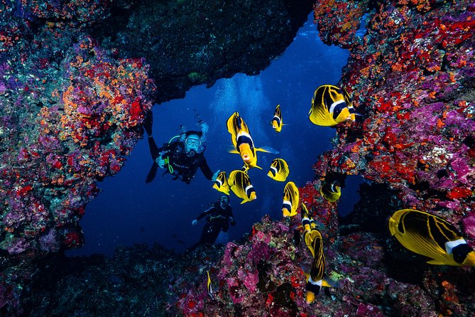 2 Tank Lanai Cathedral Scuba Dive Via Boat for Certified Divers - The dive sites: Why Lanai’s Cathedral is a must-see