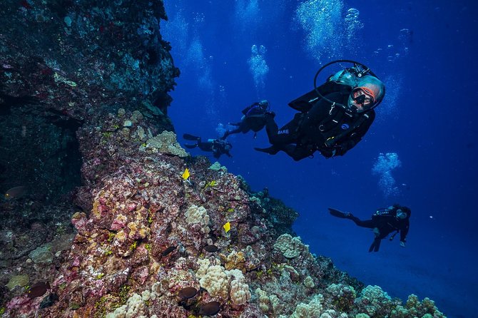 2 Tank Lanai Cathedral Scuba Dive Via Boat for Certified Divers - Post-dive: Relaxing above water
