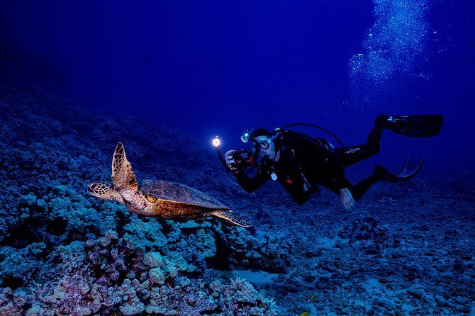 2 Tank Lanai Cathedral Scuba Dive Via Boat for Certified Divers - Why many reviewers love this experience