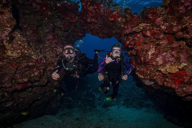 2 Tank Lanai Cathedral Scuba Dive Via Boat for Certified Divers - The value in this tour