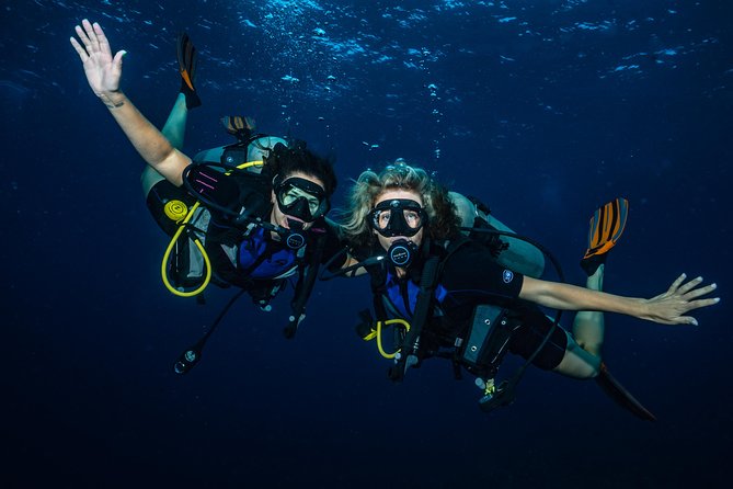 2-Tank Maui Turtle Scuba Dive or Snorkel Boat Tour - Final Thoughts: Who Is This Tour Best For?
