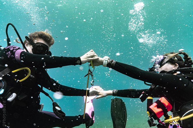 2 Tank Private SCUBA Party Diving Charter from Waikiki Hawaii - The Itinerary and What You Can Expect