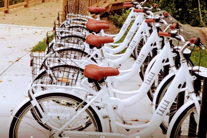24 Speed Hybrid Road Bike Rental - The Sum Up