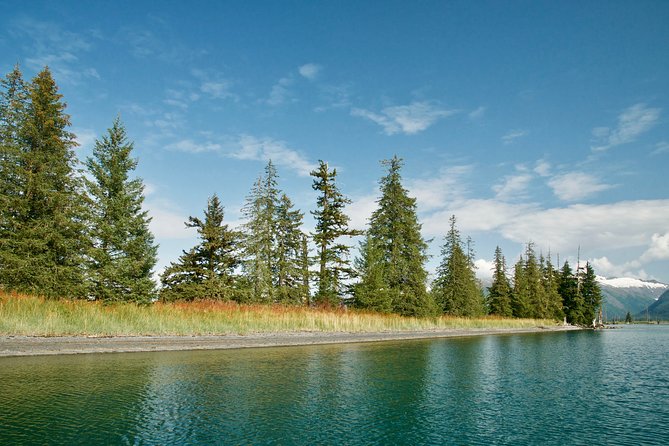 26 Glacier Cruise and Coach from Anchorage, AK - The Sum Up