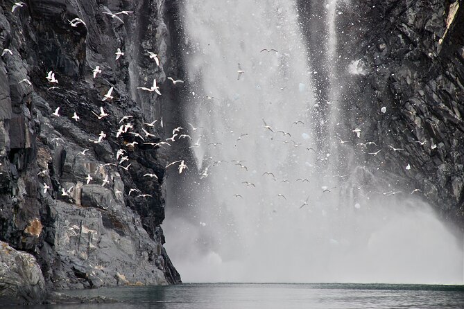 26 Glacier Tour, Self-Drive from Anchorage, AK - Who Should Consider This Tour?