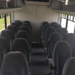 28 Passenger New Orleans Airport or Hotel Transfer - The Itinerary and What You’ll Experience