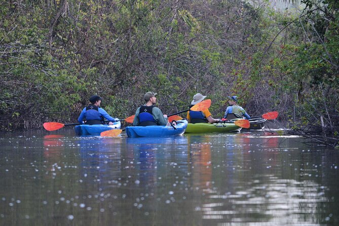 2Hour Everglades Kayak Safari Adventure Through Mangrove Tunnels - Why You’ll Love This Kayak Safari