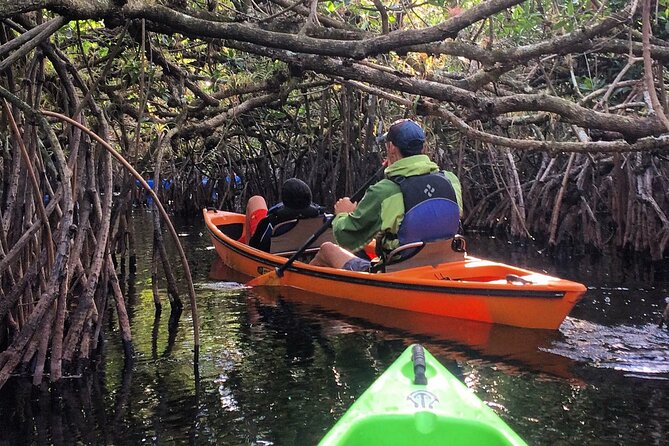 2Hour Everglades Kayak Safari Adventure Through Mangrove Tunnels - Who Is This Tour Best For?