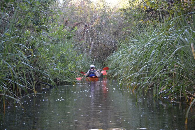 2Hour Everglades Kayak Safari Adventure Through Mangrove Tunnels - FAQs