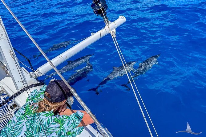 2hr Luxury Private Sailing Catamaran for 7-12 People - Setting sail in style: A detailed review