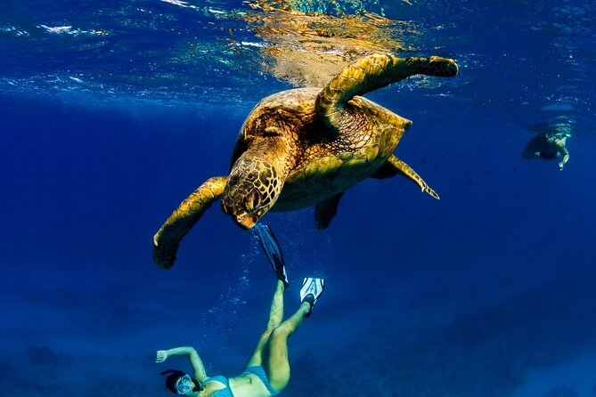 2hr Luxury Private Sailing Catamaran in Waikiki for 1-6 People - Who Will Love This Experience?