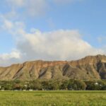 2nd)Diamond Head Hike w/ Malasada Starts at 7:00 a.m. - The Value of This Tour