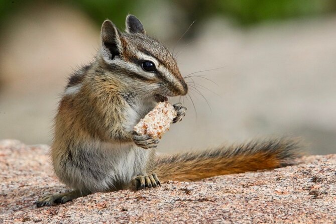 3/4 Day Rocky Mountain NP "Mountain to Sky+Bear Lake Rd" Tour - RMNPhotographer - Final Thoughts