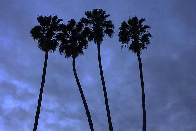 3.5 Hour Coastal Tour of Santa Monica, Venice Beach and Malibu - Considering the Price