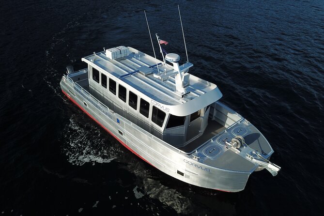 3.5 Hour Crowd-Skipping Whale Tour in Juneau Alaska - A Detailed Look at Your Juneau Whale Tour Experience