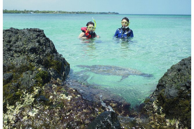 3.5 Hour Kailua-Kona Ocean Kayak and Snorkel Tour - Why This Tour Offers Great Value