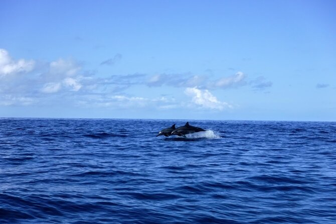 3.5 Hour Kailua-Kona Ocean Kayak and Snorkel Tour - Final Thoughts