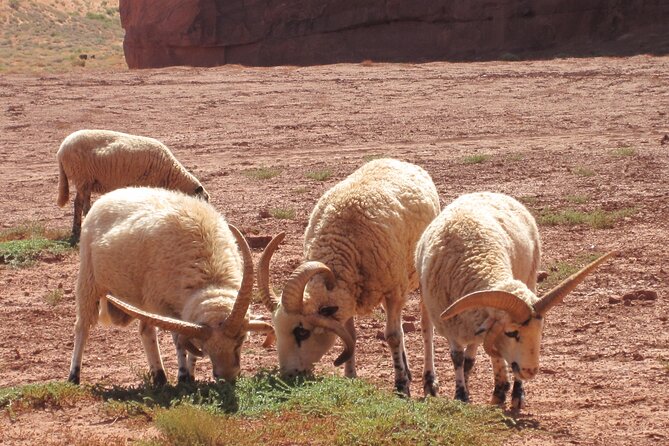 3.5 Hours of Monument Valley's Cultural 4×4 Tour - Who Should Consider This Tour