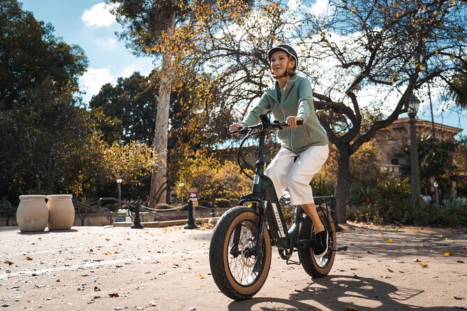 3 Day Electric Bike Rental (upto 4 Ebikes) Broward County - Price and Value