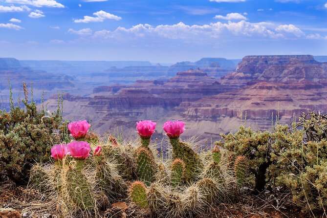 3-Day Grand Canyon, Antelope, Bryce & Zion Tour from Vegas - Key Points